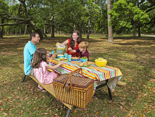 Stop for a picnic along the scenic byway - Alabama's Coastal Connection