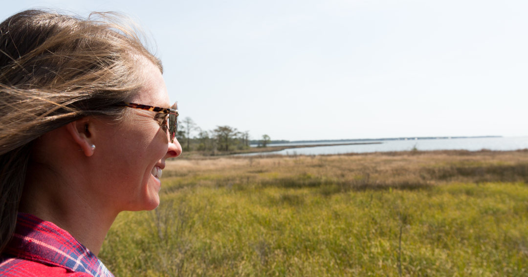 Explore the salt marshes with the Dauphin Island Sea Lab this summer ...